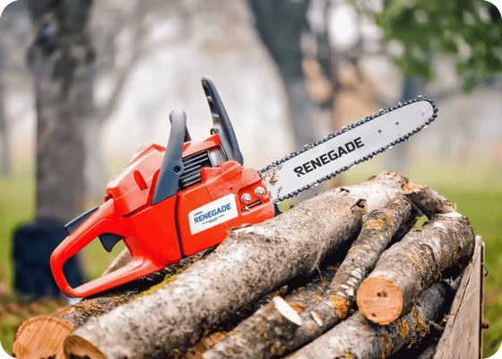 Custom Packaging & Labeling | Digital Print Solutions | Taylor